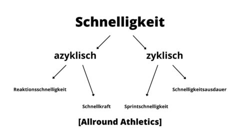 Schnelligkeit verbessern – So geht’s!