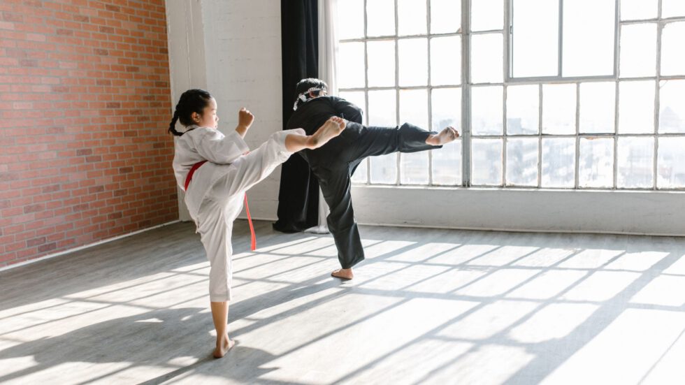 Das Shu Ha Ri Prinzip – Die japanische Weg eine Kunst zu meistern