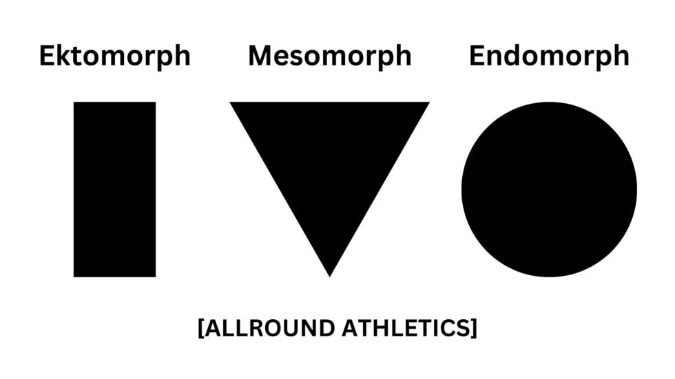Die 3 Körpertypen – Der wohl bekannteste Bro Science Mythos
